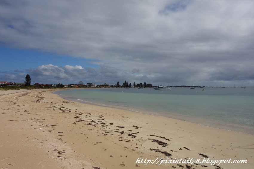 Steel Tree @ The Foreshore - Perth, Western Australia