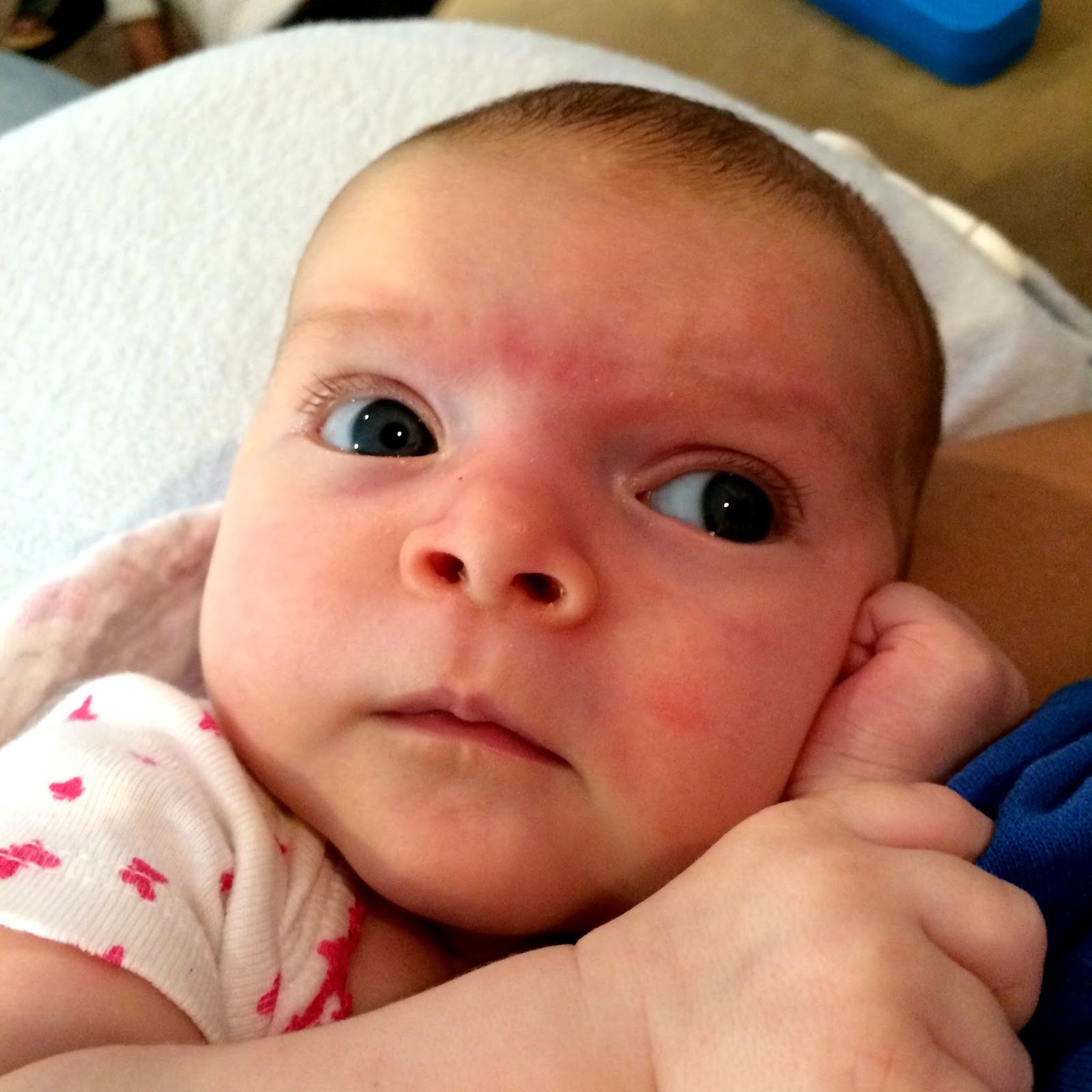 the-rant-returned-sweet-giselle-is-8-weeks-old