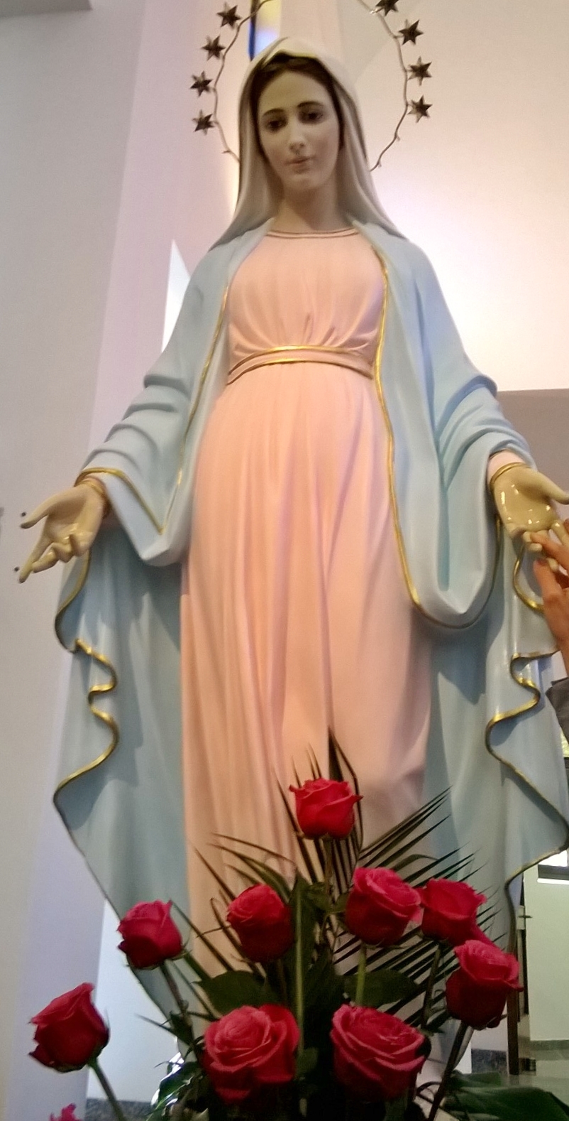 Santa María Destello Celestial: María asunta al cielo en cuerpo y alma ...