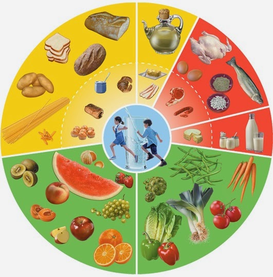 SCIENCE BLOG. YEAR 4: THE FOOD WHEEL
