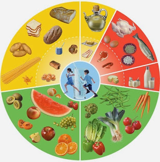 SCIENCE BLOG. YEAR 4: THE FOOD WHEEL
