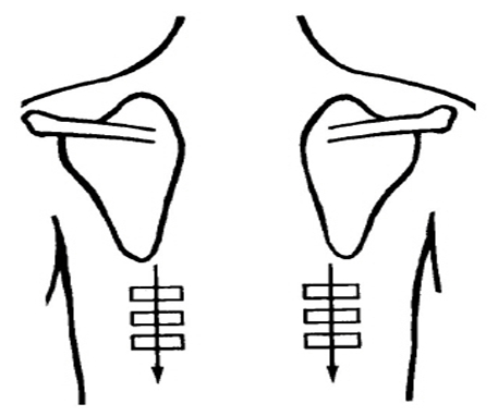 Sistem Informasi Keperawatan: Pemeriksaan Fisik THROAX