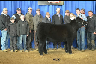 RCC Blog: New Sensation Sweeping the Nation