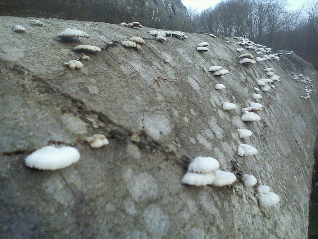 Rune Bergman Keramiker