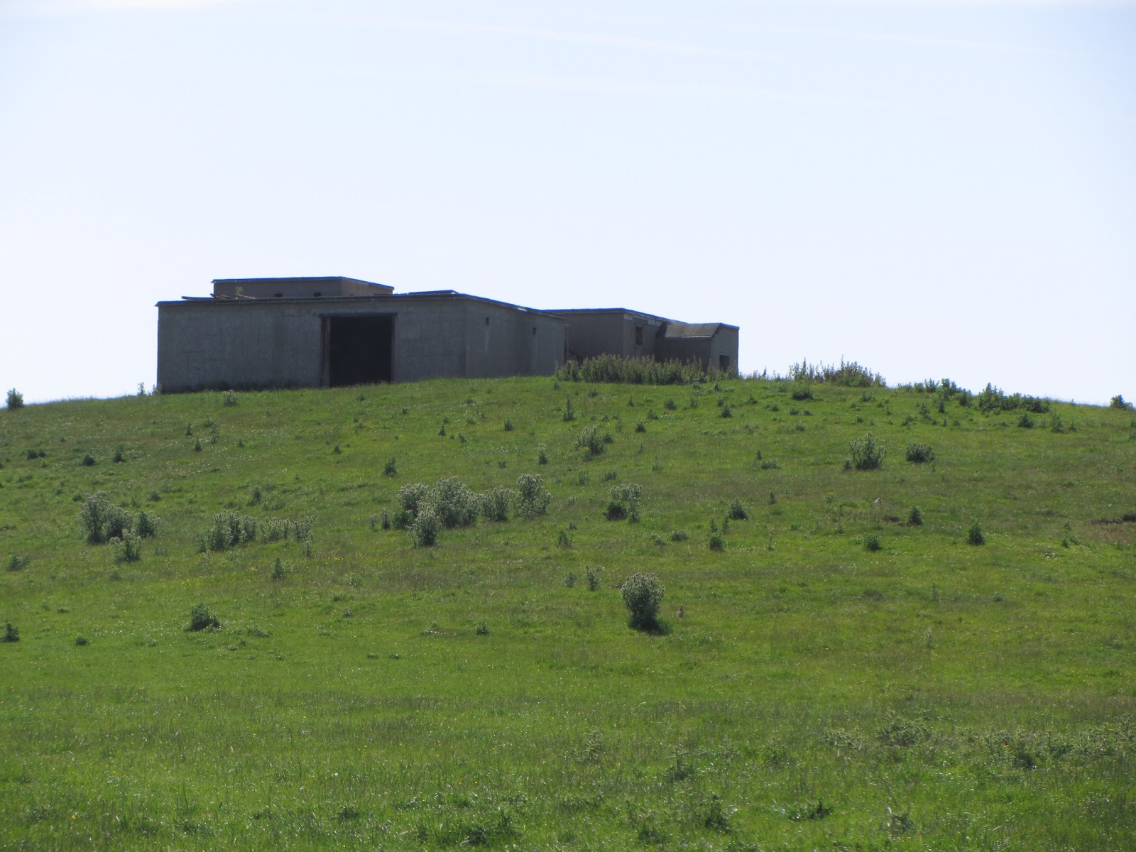 wargames and walking: Bempton Cliffs