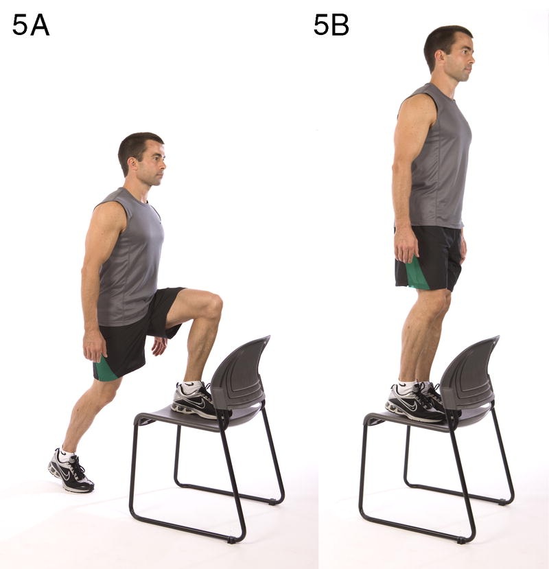 Predator Haven: 7 MINUTES A DAY FOR FITNESS