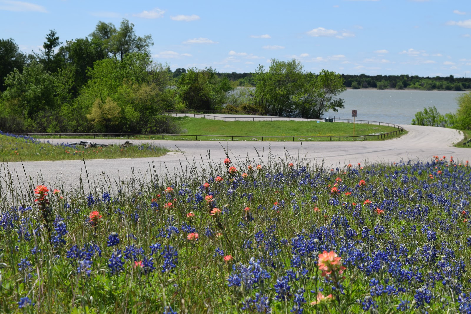 Travel for a Purpose: Texas—Visiting Ennis for Bluebonnet Trails ...