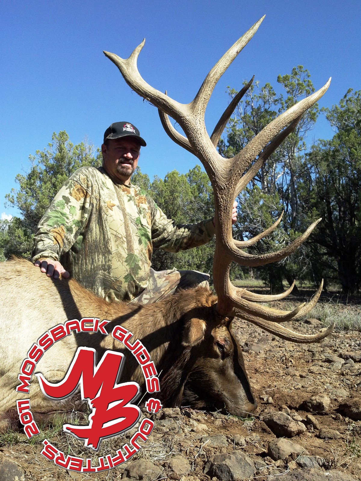 A3 Trophy Hunts LLC : 2011 Arizona Elk