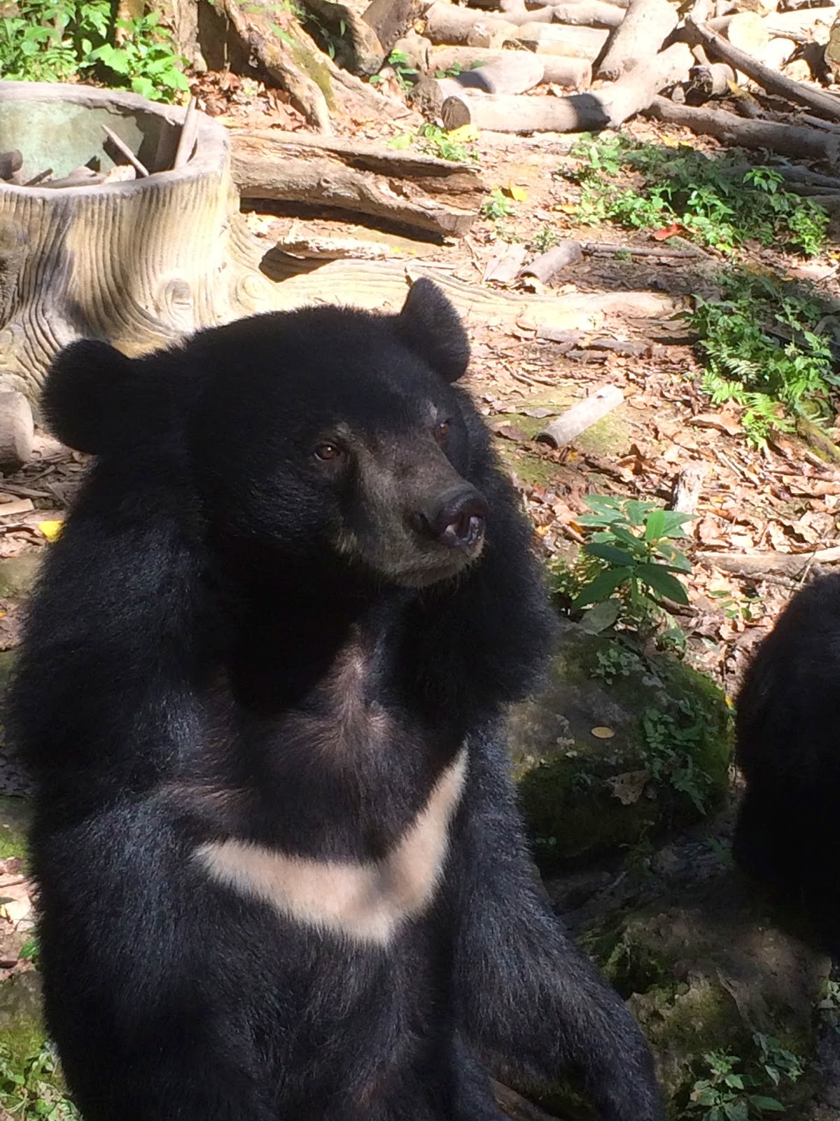 A Travel Blog by Denna Nazem