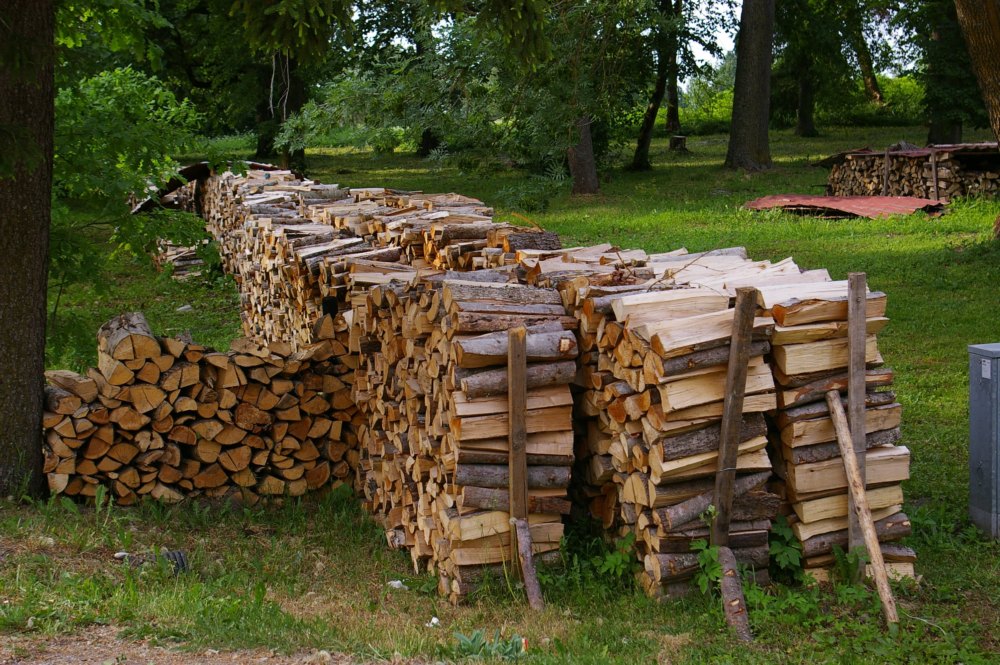 Kolmenimemees: Unustatud mõisad 2011. Vaatus 1, pilt 3 ja 4: Rogosi ja ...