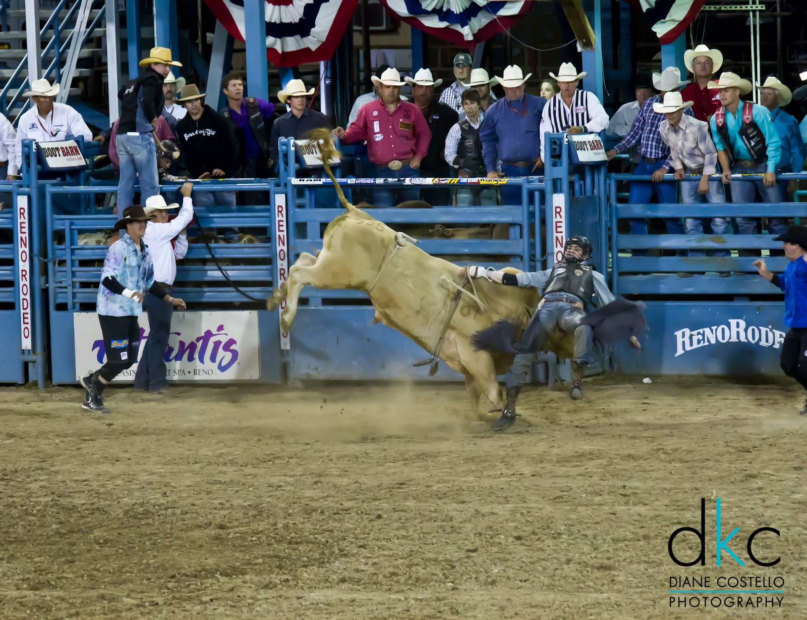 Diane K. Costello Photography: Reno Rodeo 2011