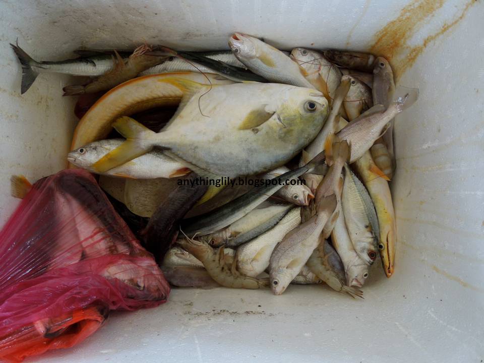 anythinglily: Kelong Paradise Waterfront Resort: Part 3 ( The 24 Hour ...