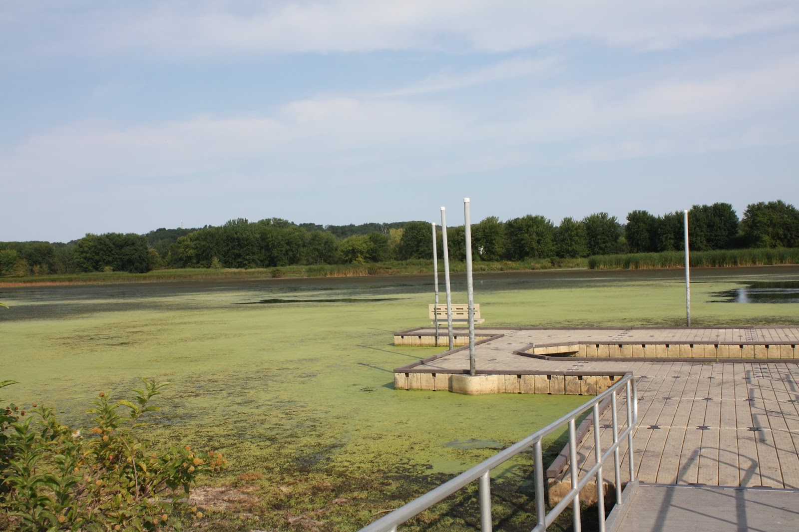 A Little Time and a Keyboard: Nahant Marsh in Davenport, Iowa
