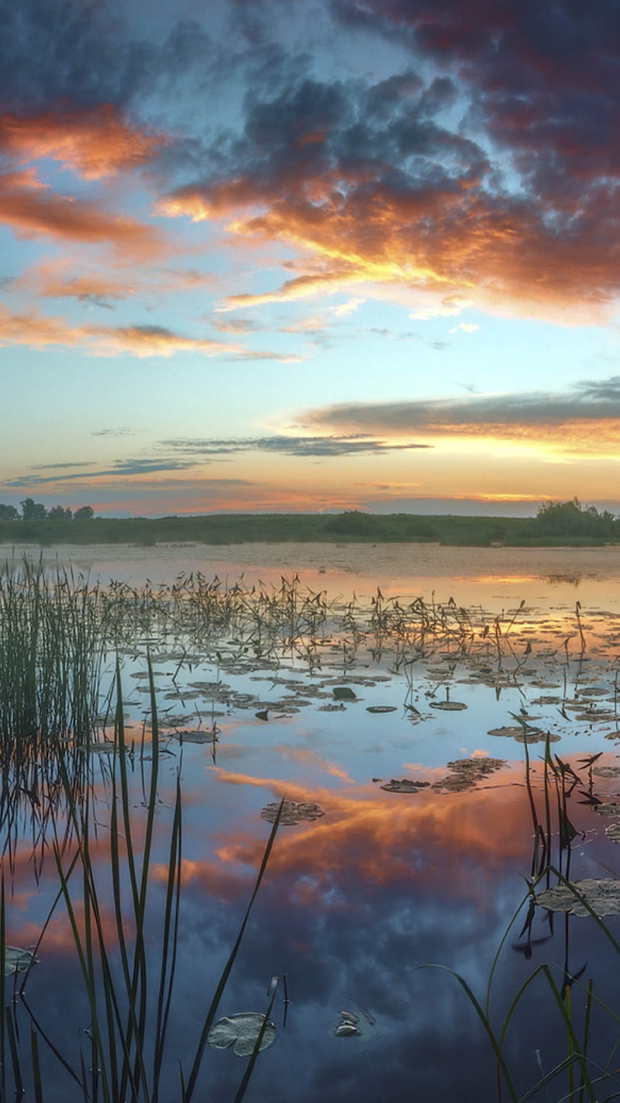 Fondo android pack 82