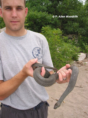 Nature Nuggets: Goodness Snakes Alive!!