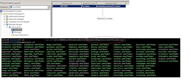 SAS Metadata repository physical location