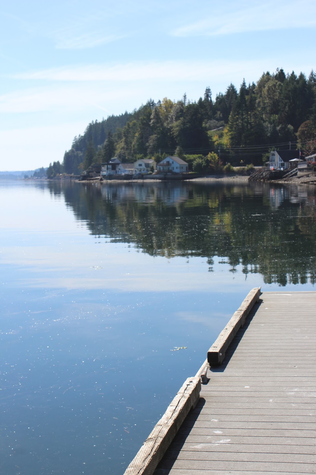 Cinnamon the Traveling Coonhound: Dog Friendly Vacation in Sequim ...