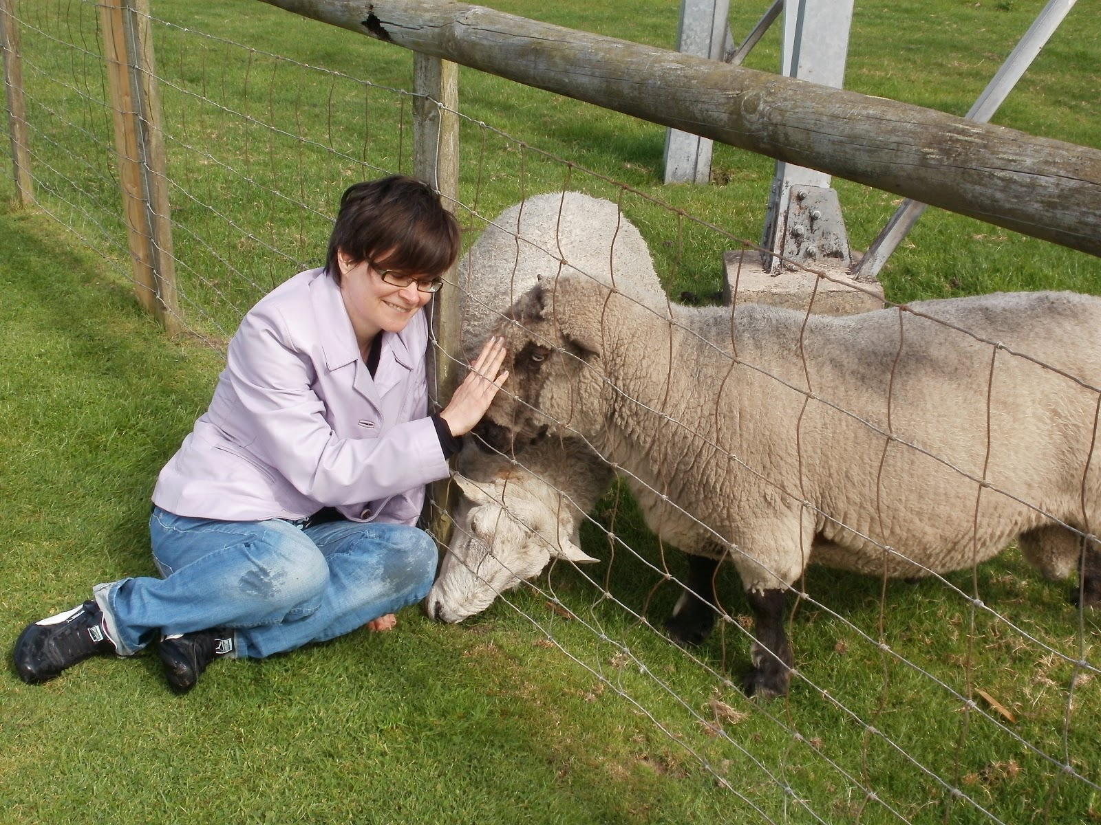 (Inter) National Hug A Sheep Day: Hugging Sheep