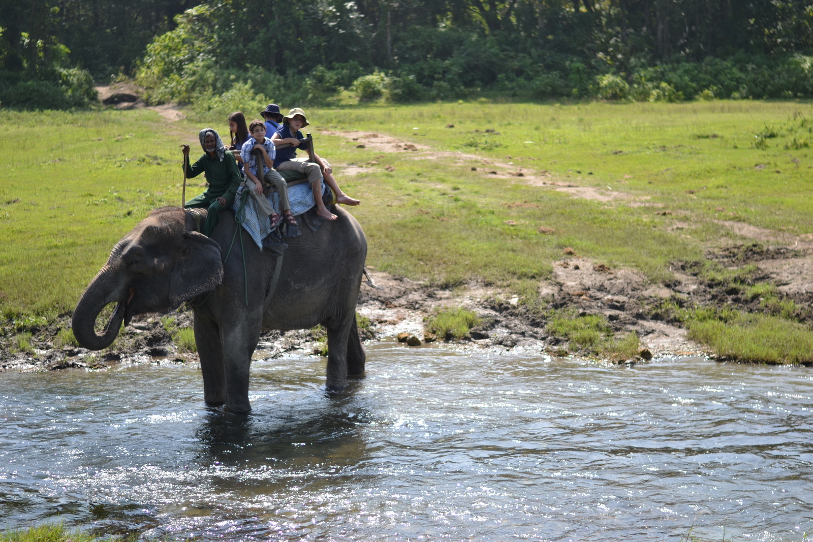 les yeux débridés: Y'avait des cro-co-diles...