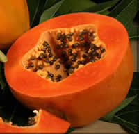 Papayas: Health Benefits Of Papayas & The Many Ways of Consuming It