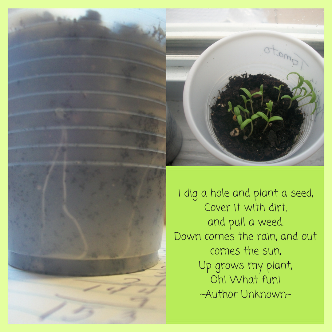 LET'S GET REAL: It's A Spring Thing {A Peek Into Our Spring Activities}