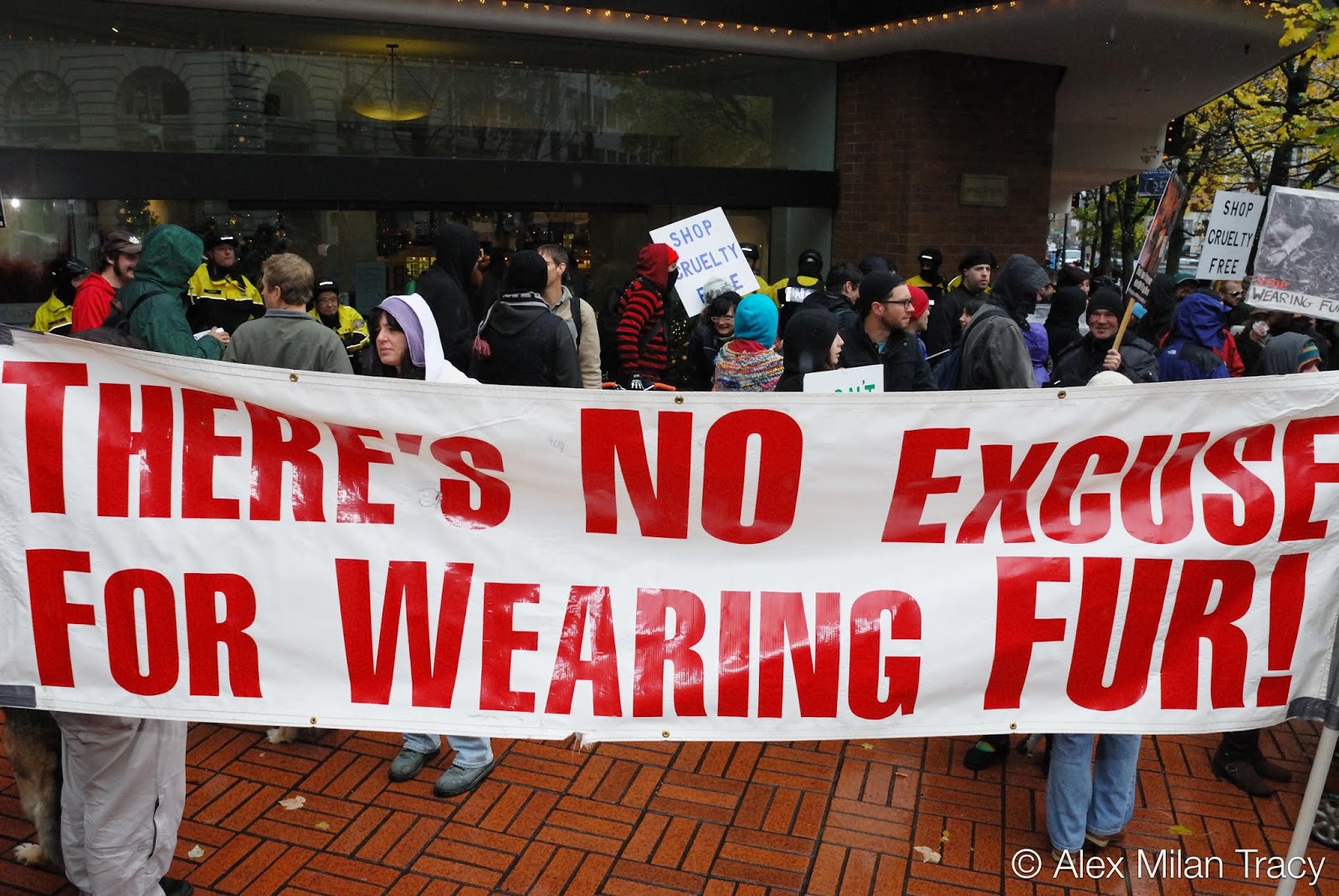 VEGANISM: A TRUTH WHOSE TIME HAS COME: 175 Signs-of-Justice from Around ...