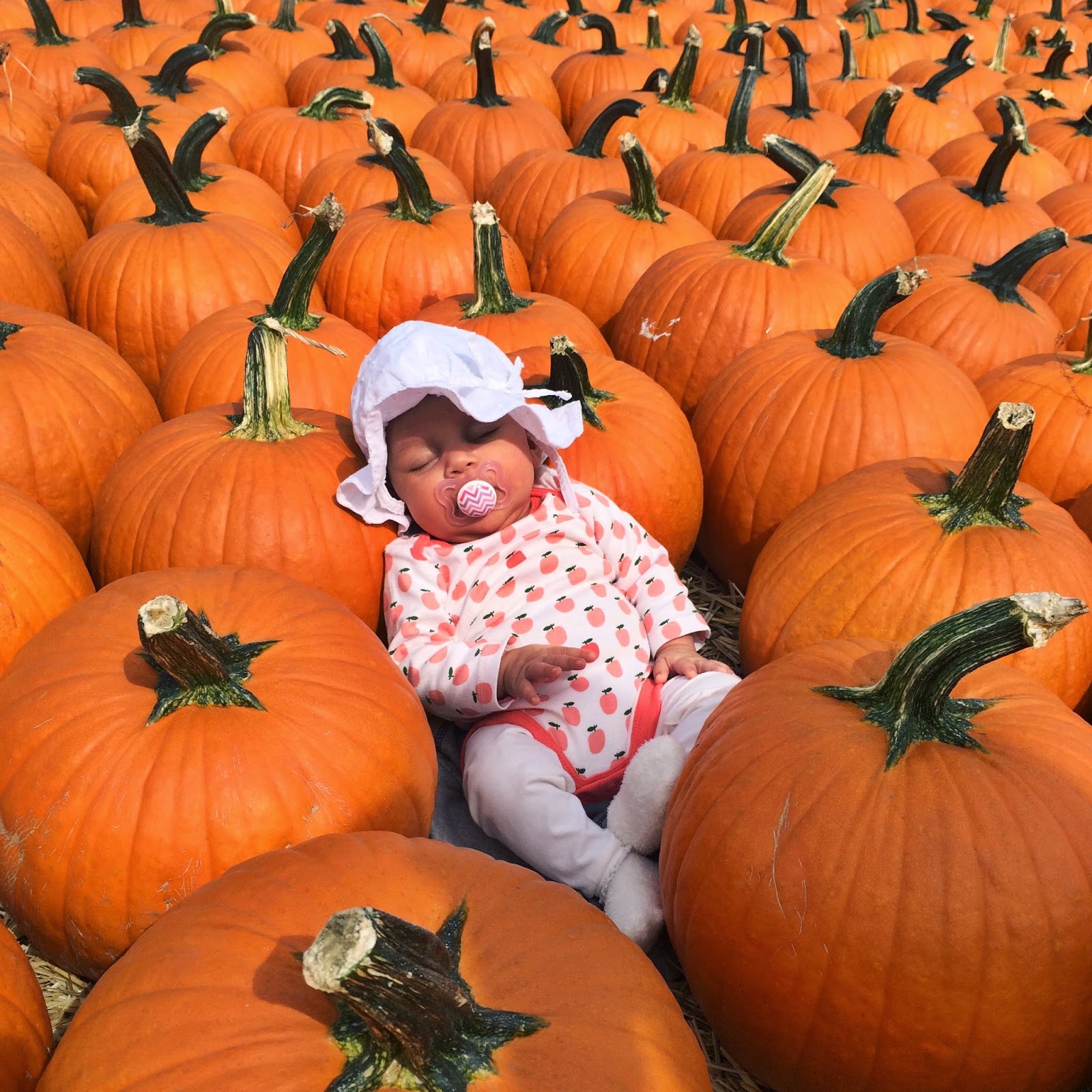 Shh Pumpkin Sleeping - Happily Ever Parker