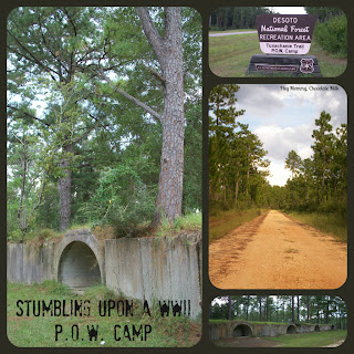 Hey Mommy, Chocolate Milk: Stumbling upon a P.O.W. Camp