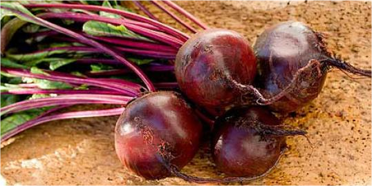 Bit | Benefits For Better Life - FRUITS