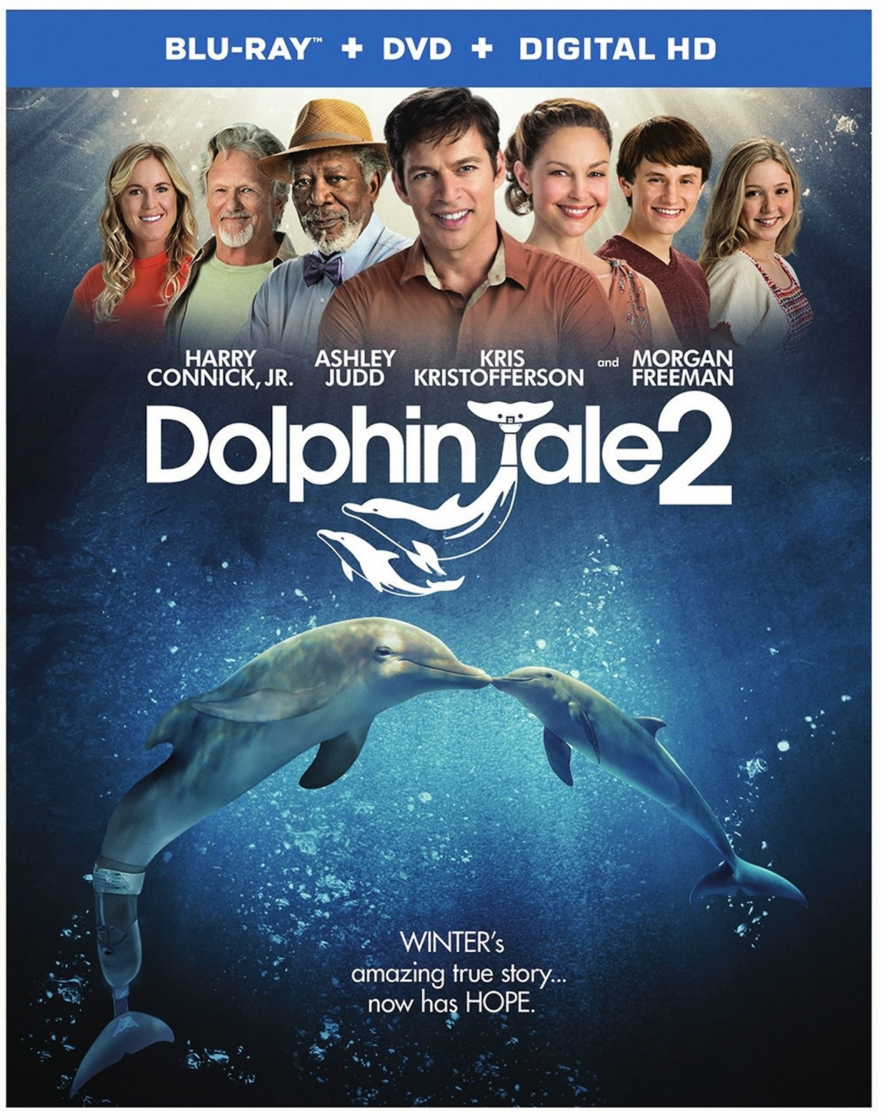 Warner Bros. Dolphin Tale 2 Arrives onto Blu-ray Combo Pack, DVD Dec 9th!!