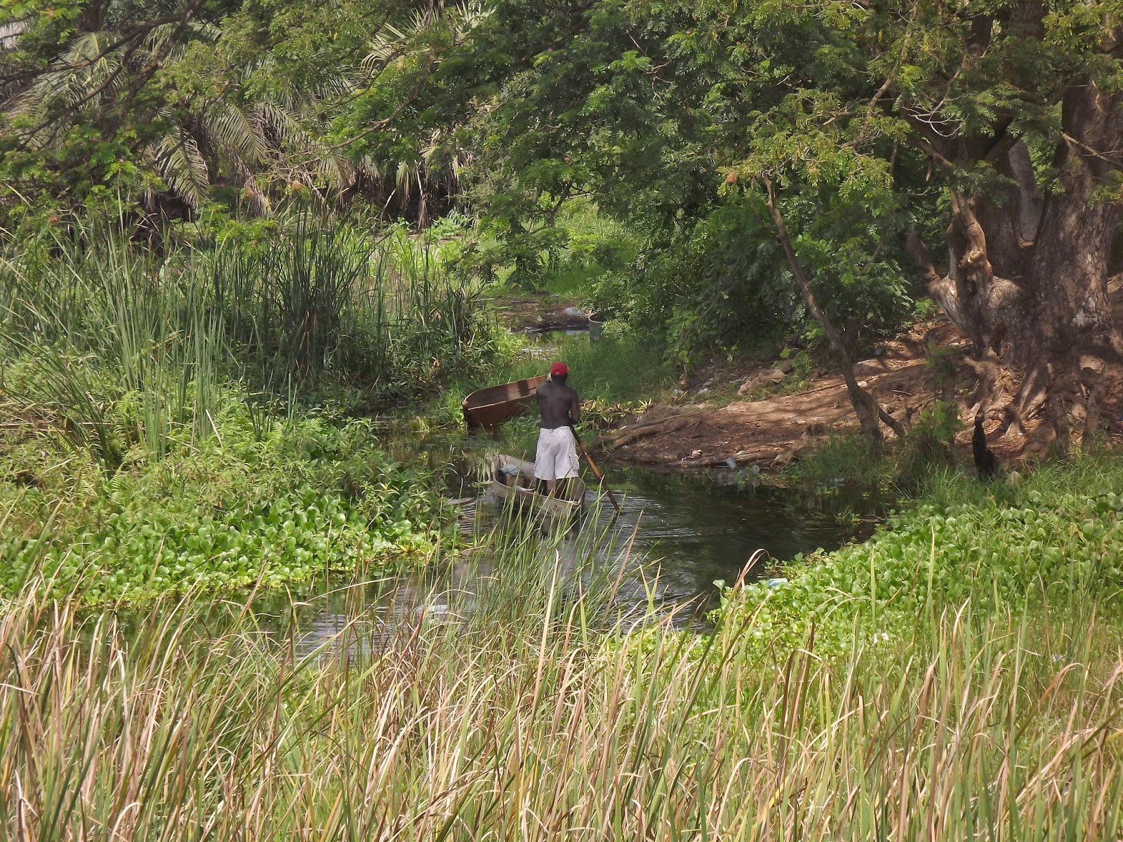 LIVRES PENSANTES: Da Província do Bengo em Angola I