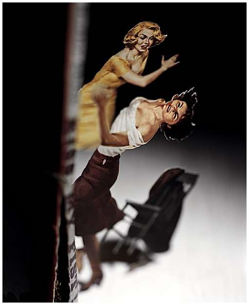 the bibliofiles: book art photography by thomas allen — Crow & Canary