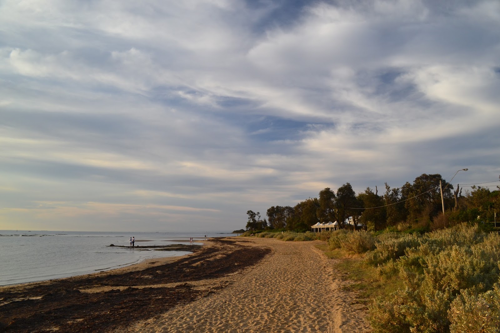 Goin' Feral One Day At A Time: Ricketts Point Marine Sanctuary ...
