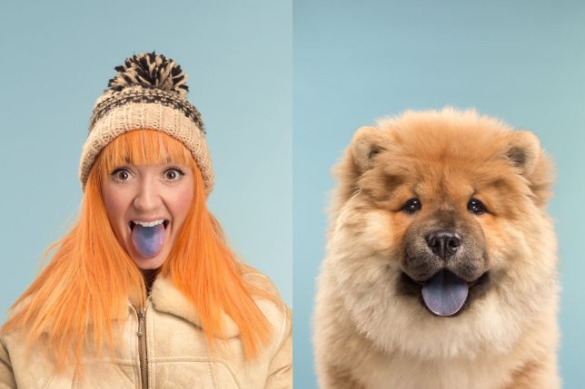 Science reveal that Dogs look like their owners - Doglopedix