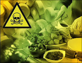 KEHIDUPAN YANG LEBIH SIHAT: BAHAYA TOKSIN DALAM BADAN