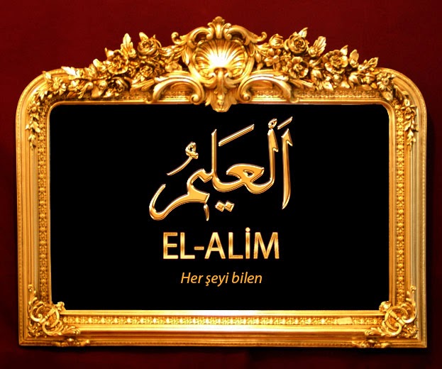 El-Alim İsminin Fazileti - Ensar Alemi