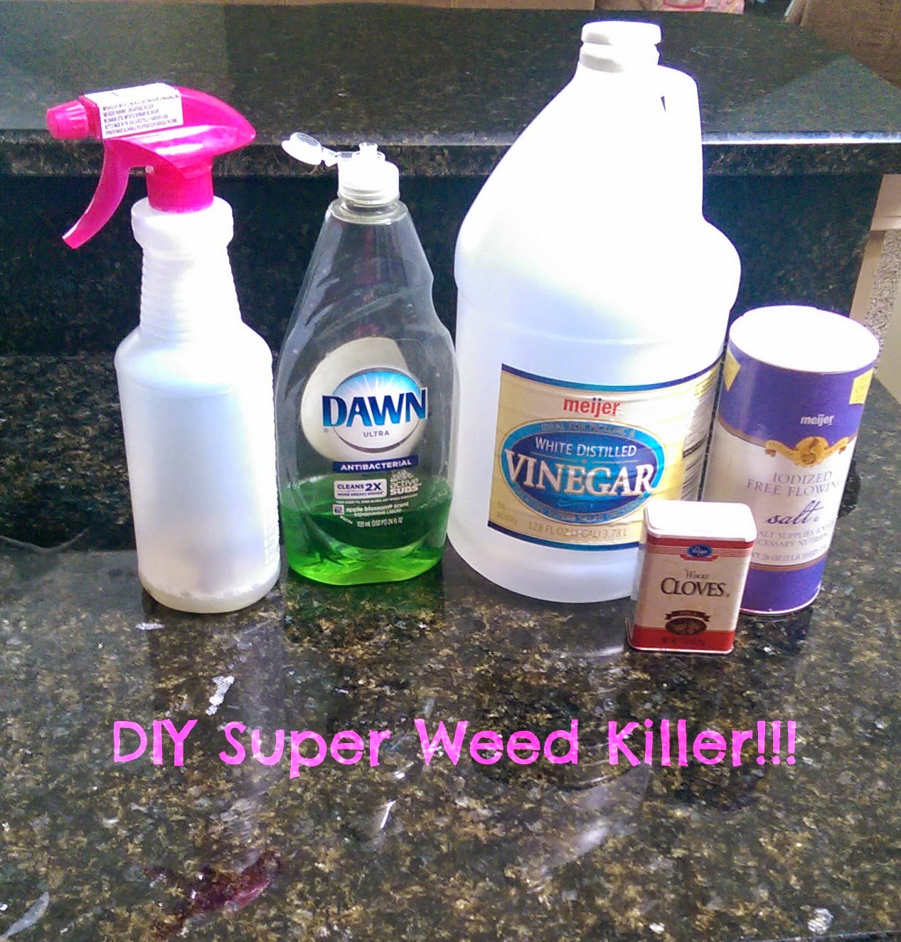 Try it out Mama: DIY Super Weed Killer