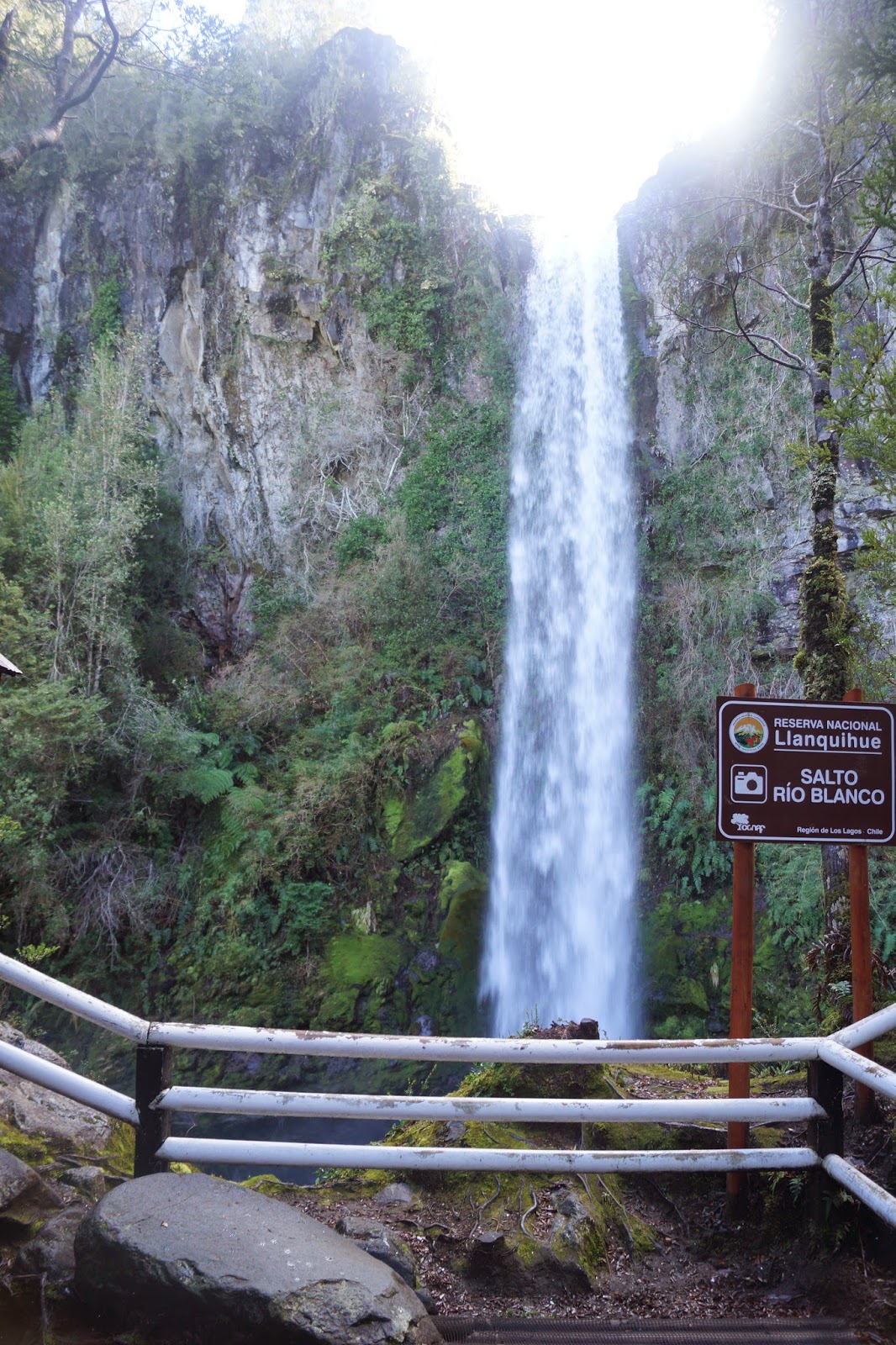 Trekking en el sur de chile: Reserva nacional Llanquihue