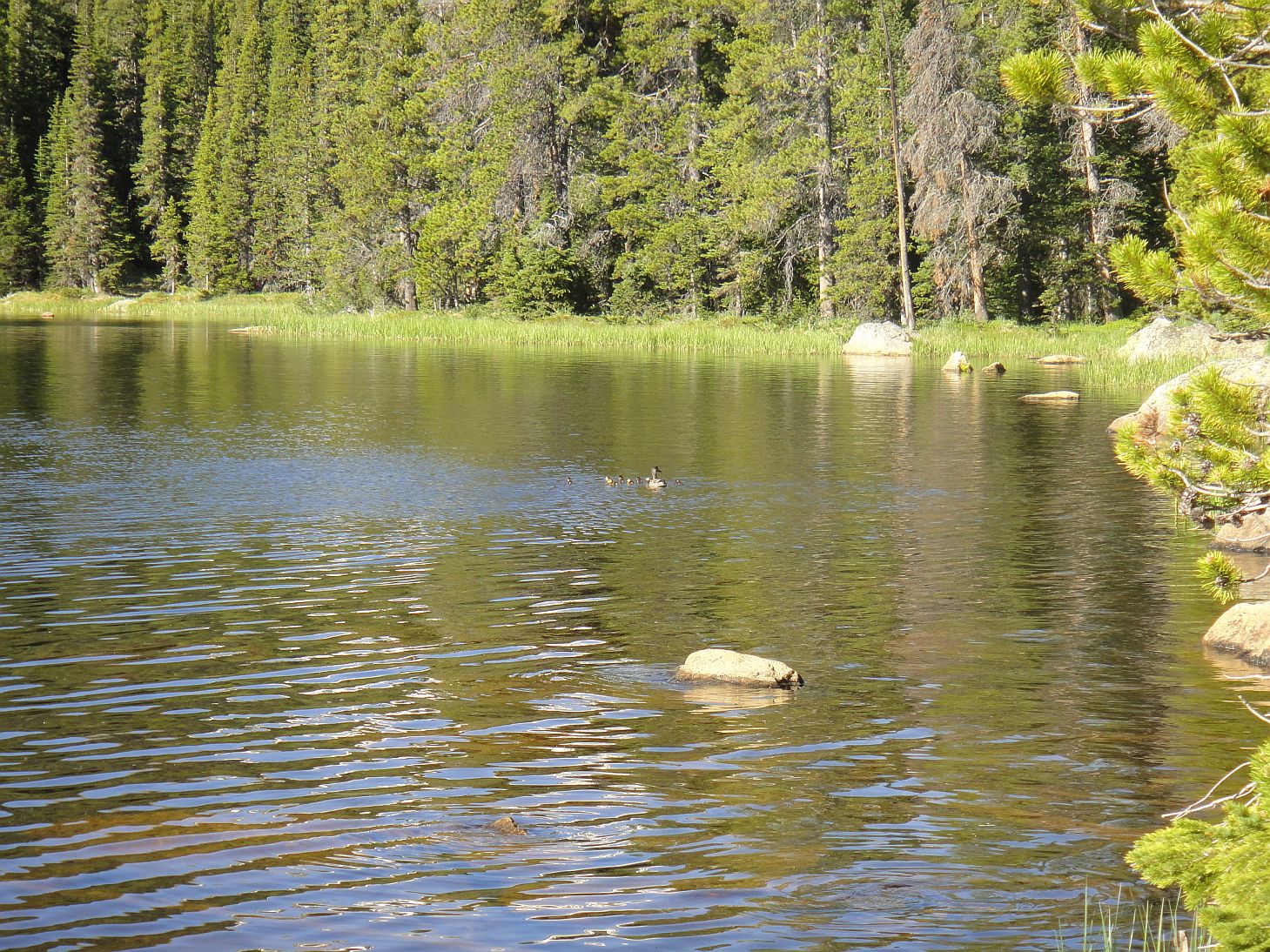 Hiking Rocky Mountain National Park: Cony Lake and area via Finch Lake ...