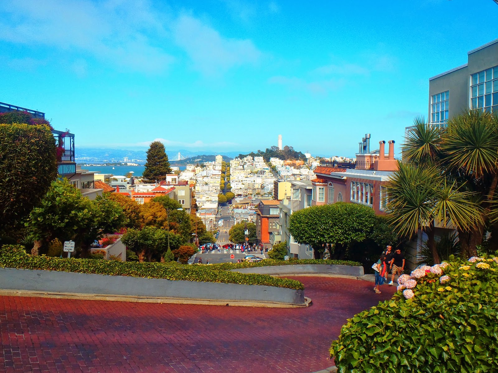 San Francisco's Lombard Street: The Crookedest Street in the World ...