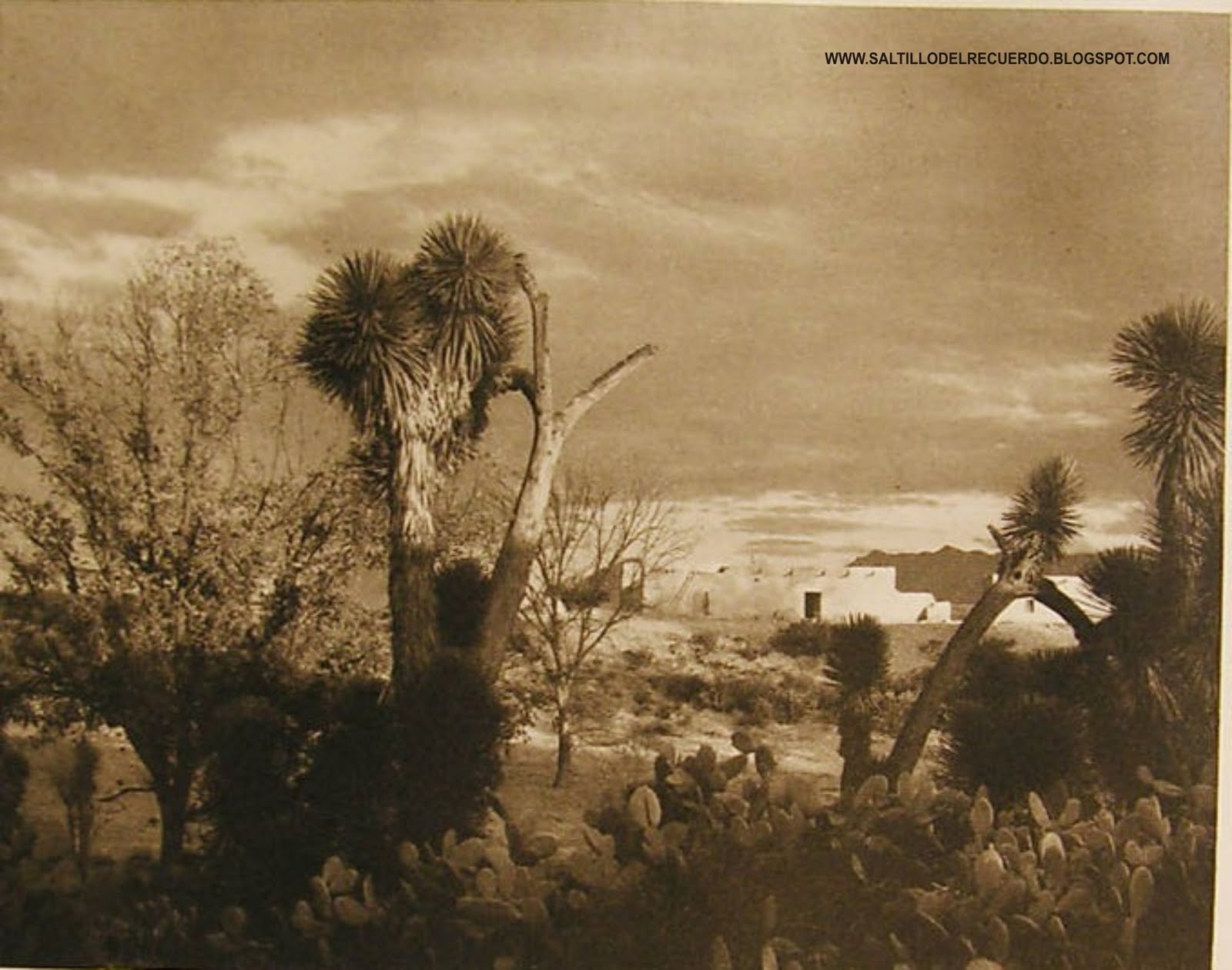 SALTILLO DEL RECUERDO: EN UN LUGAR DE SALTILLO....!!!