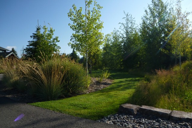 Elements Landscape and Design, Inc.: Native Grasses and Sod Pathways
