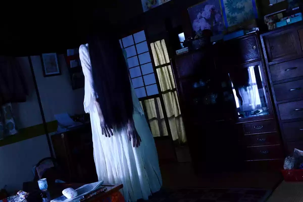 Sadako And Kayako