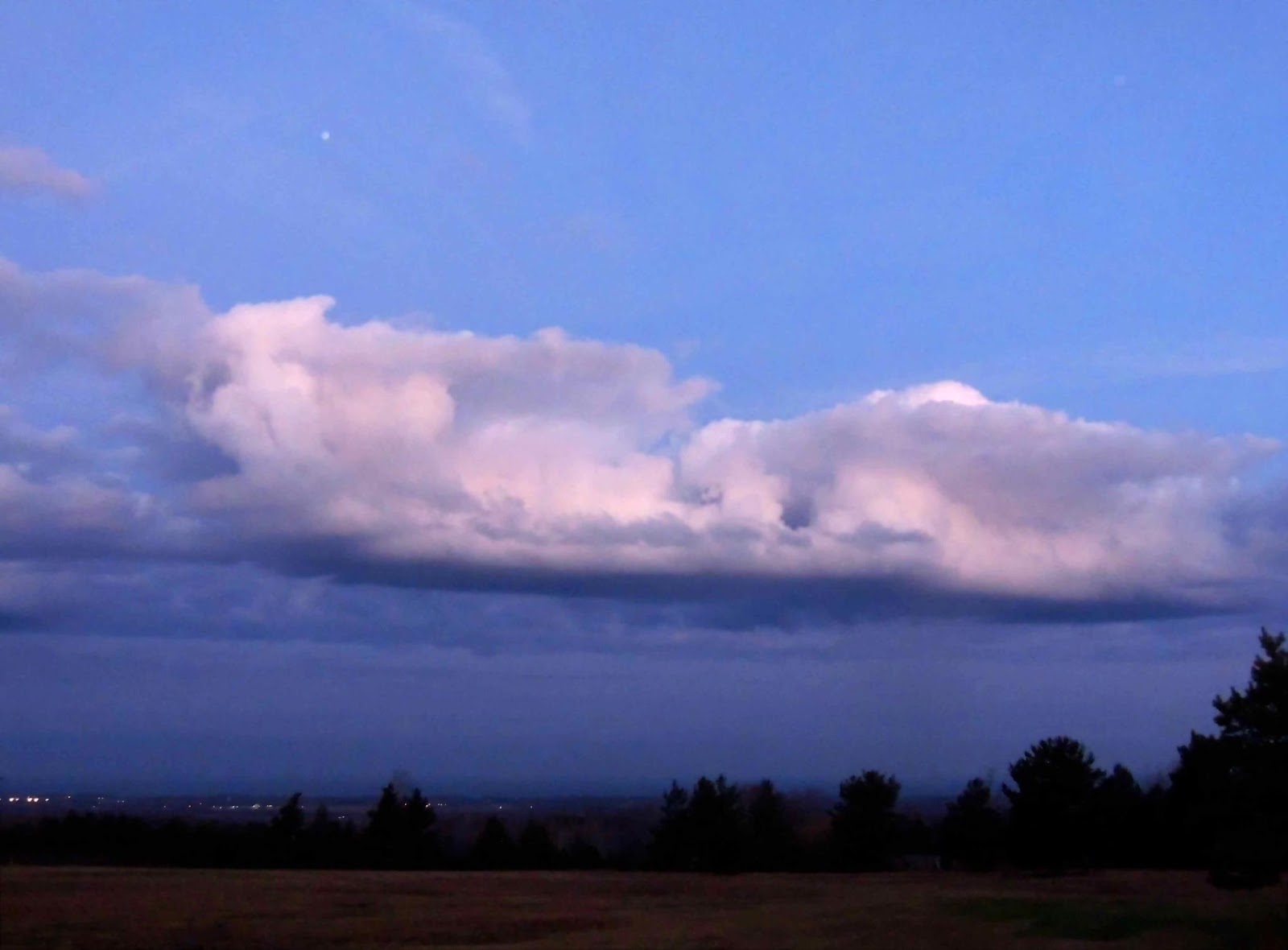 Gale's Photo and Birding Blog: Strange Weather for December