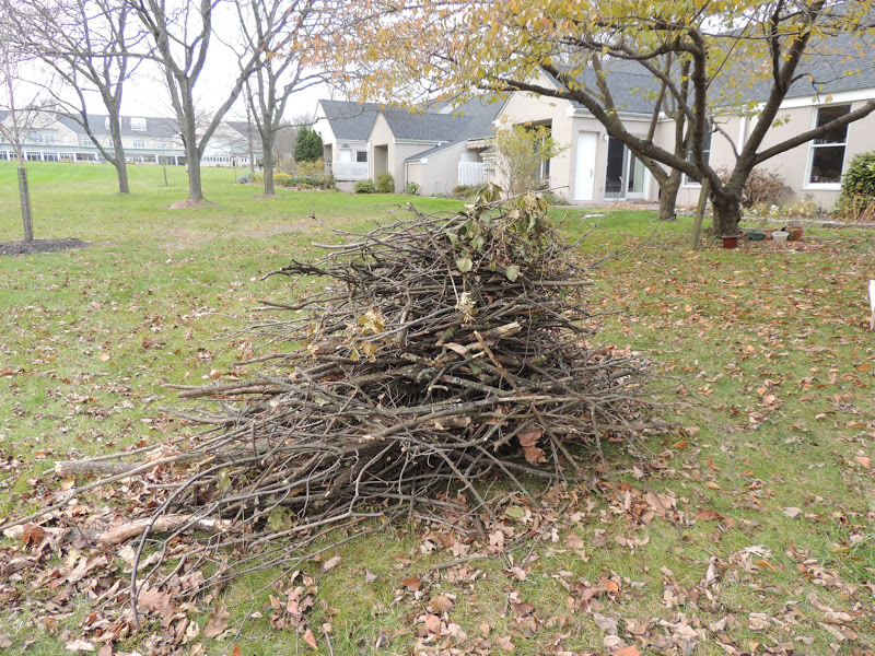 Foulkeways and Beyond