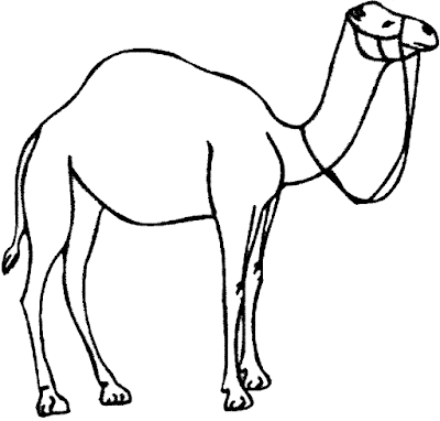 Gambar Mewarnai Unta Untuk Anak PAUD dan TK