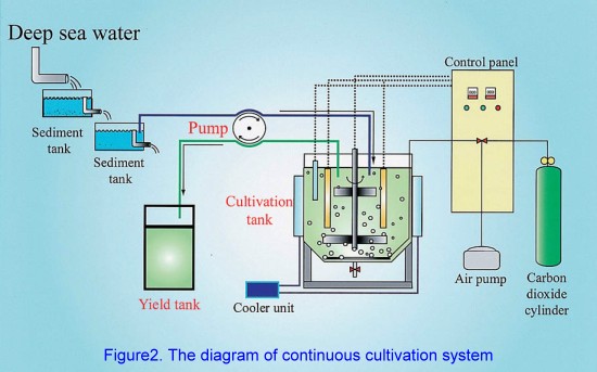 Green Oilgae: Diagram of a Photobioreactor