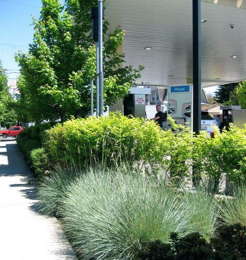 Seattle Garden Ideas: Commercial Landscapes: Safeway's "Green" Gas Station