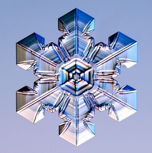 Heraldry of Life: ART with REAL SNOWFLAKES