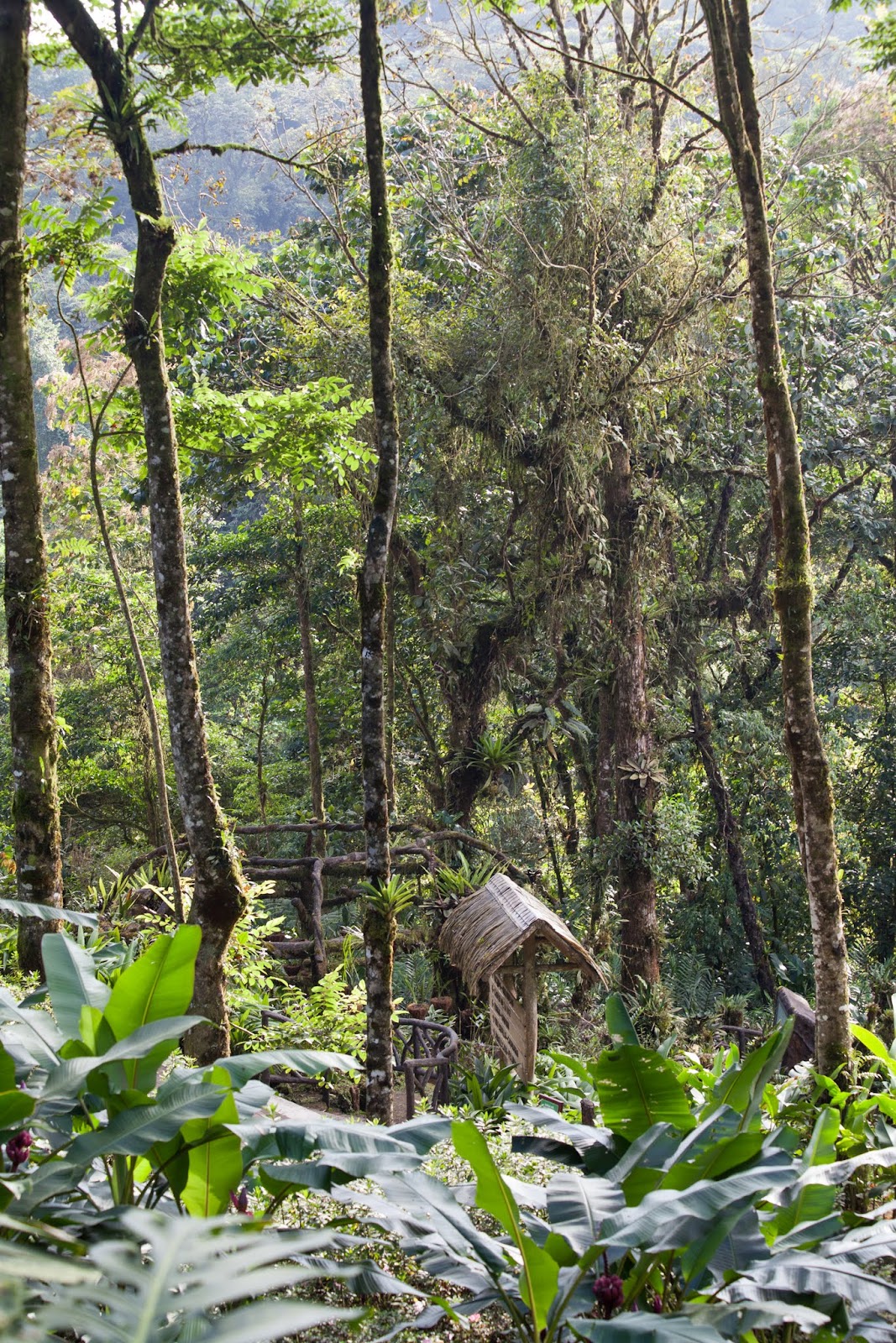 2-in-1: Zoo and Nature Park in Costa Rica - Explore the World with ...